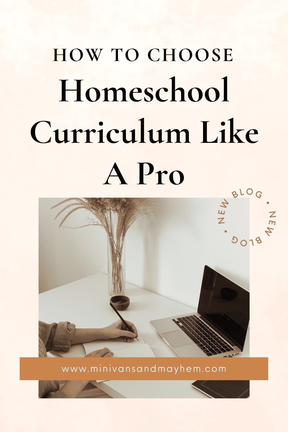 How To Choose Elementary Homeschool Curriculum Like A Pro | Minivans ...